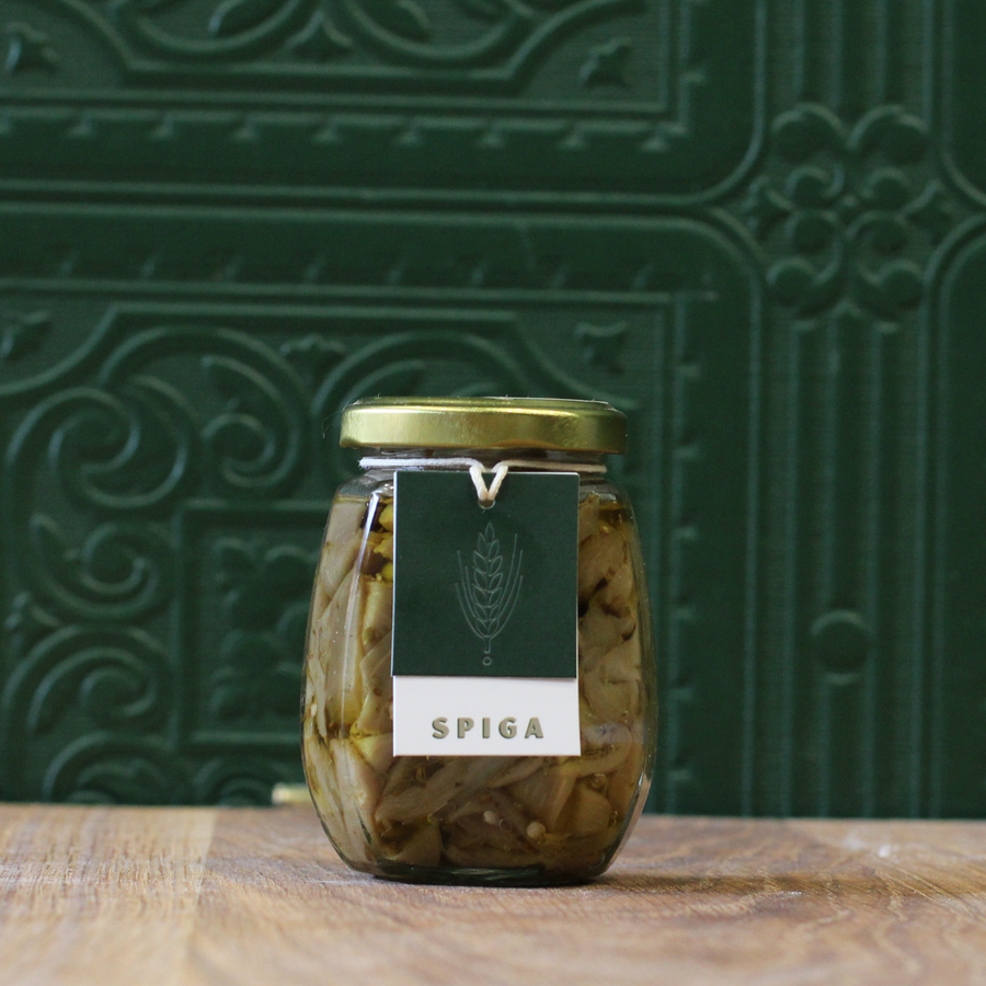 Collections – North & Muse