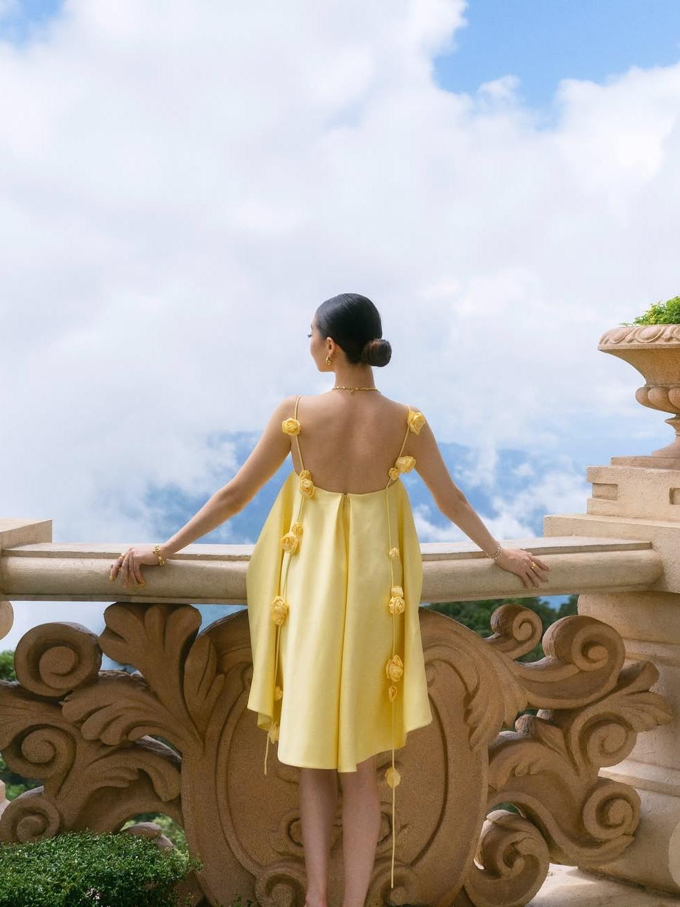 CALLIE - BACKLESS ROSE CHARM DRESS – North & Muse